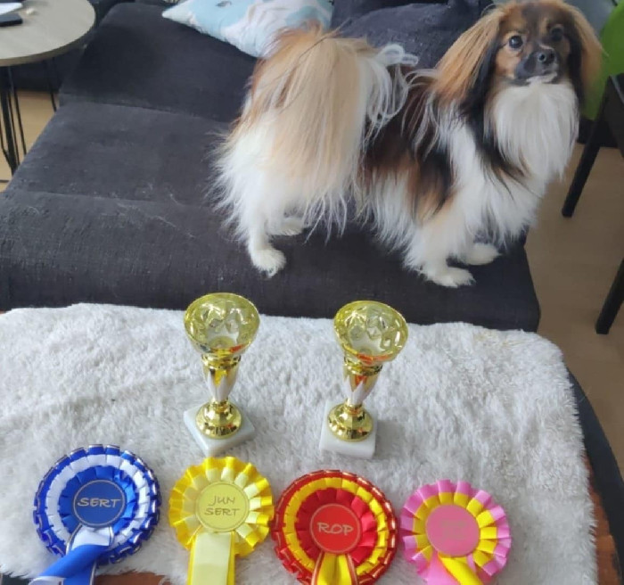 Uutiset / News :: Silky Touchs